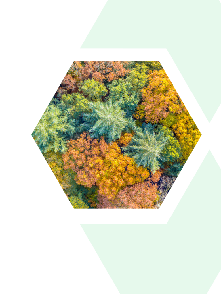 Home - Carbon Solutions